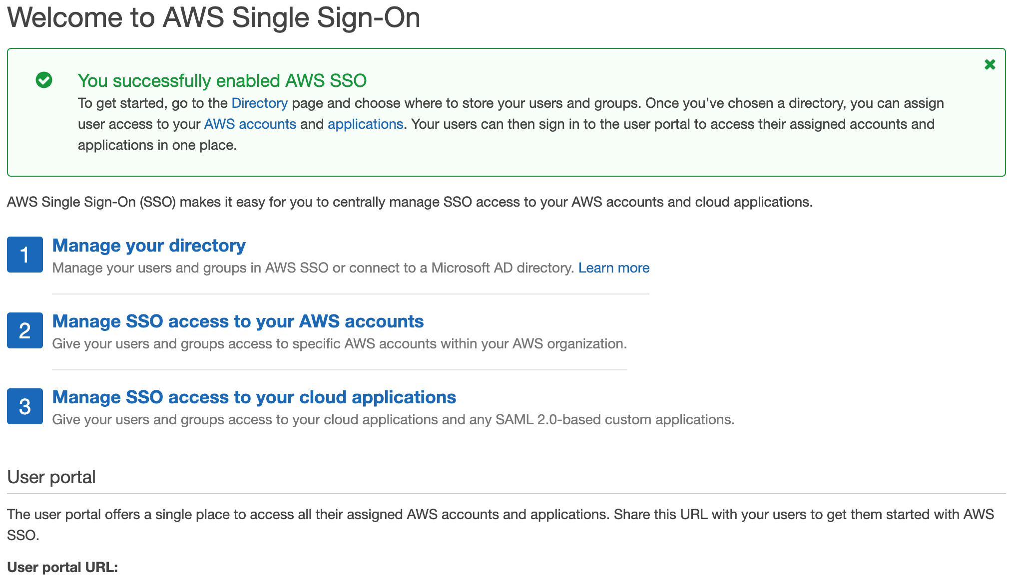 Setting up and using AWS SSO – Olrichs.com